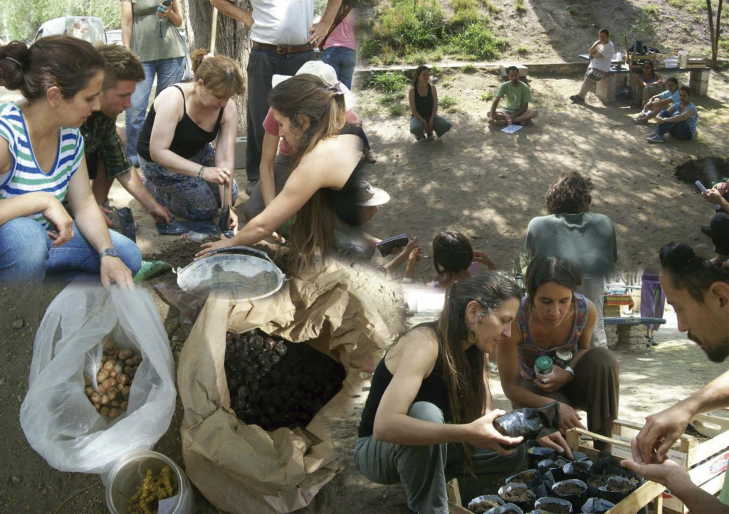 Sin-tÃ­tulo-1 - CEPROCOR